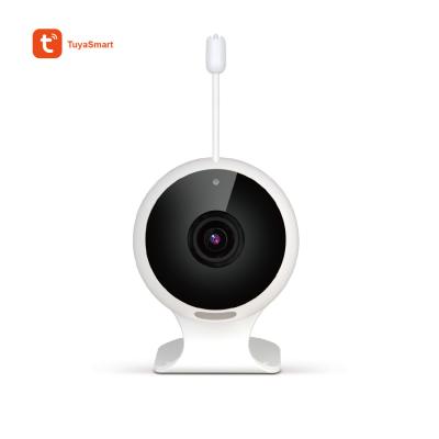 China 1080p Indoor Baby IP Camera(IPC163) for sale