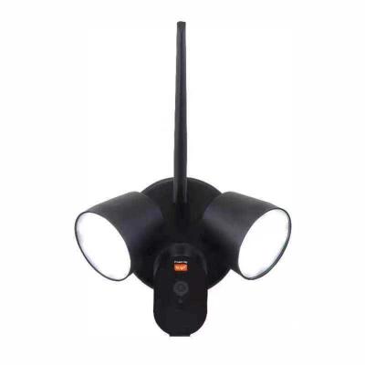 China 2MP Floodlight Camera Wall Light Security Camera with Motion Detection 20W LED for sale