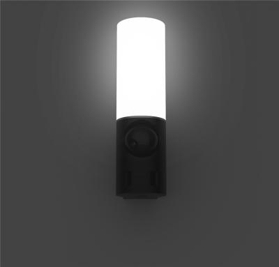 China LED Camera BV-04 High Definition Security Camera with 1080p Resolution and Night Vision for sale