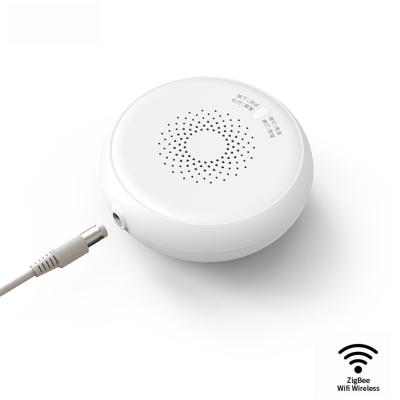 China Tuya ZigBee Wireless Gas Sensor ZMGS for Home Safety Detection for sale