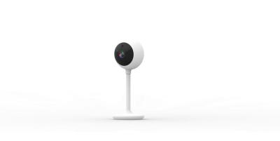 China 1080p Indoor Outdoor Fixed Camera with Two Way Audio Smart Motion Detection Mini Camera for sale