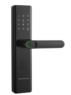 China Smart Digital Fingerprint Door Lock with Handle Easy Unlocking for Elderly Children for sale