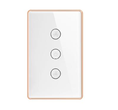 China Smart WiFi Zigbee Touch 2 Gang Wall Switch for Smart Home IoT Lighting Control for sale