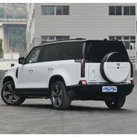 China Electric B15F Engine 7 Seats Medium Large SUV 2023 jishi 01 Energy Vehicle Polestones for sale