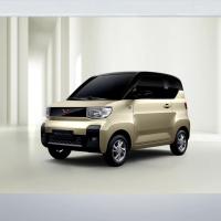 China 2023 2024 Wuling Ev Mini Car 3-door 2-seater Body Structure with Max Speed of 100km/h for sale