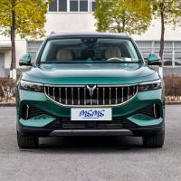 China VOYAH FREE Long Endurance SUV 5-door 5-seater Body Structure for Superior Performance for sale