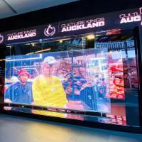 China P10 Flexible Transparent LED Film Display 10mm Pixel Pitch for Outdoor Glass Video Walls for sale