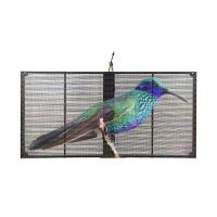China High Brightness Transparent LED Panel Display 5000 Nits 70-85% Transparency for Glass Window Video Screen for sale