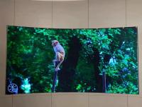 China P2 Indoor Flexible LED Display Screen with 250,000 Pixel Density and 160° Viewing Angle for sale