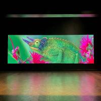 China P1.667 Indoor Small Pitch LED Display Module 320x160mm with 3840Hz Refresh Rate and 4K Support for sale