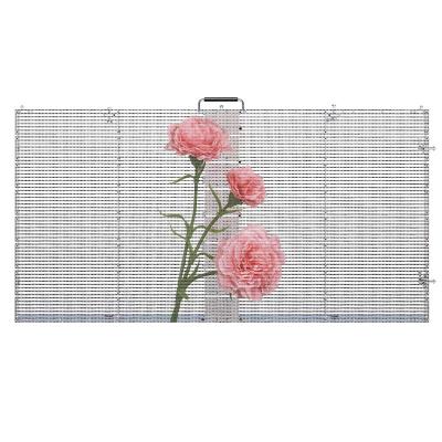 China P3.91 LED Transparent Display Panel 500×125mm Module with 5000cd/m² Brightness and 75% Transparency for sale