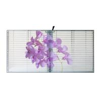 China SMD1921 LED Transparent Display Screen P3.91 800cd/sqm Brightness 100000 Hours Lifespan for sale