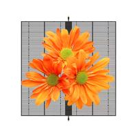 China Indoor P3.91-7.82 Transparent LED Display 500x125mm Full Color Video Wall for Shop Mall Advertising for sale
