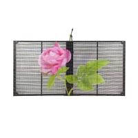 China Indoor P3.91-P7.82 Transparent LED Display 5000cd Brightness Glass Window Panel for sale