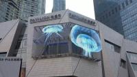 China 500mm x 125mm LED Transparent Video Wall P3.91-P7.81 Pixel Pitch 5000cd/m² Brightness for sale