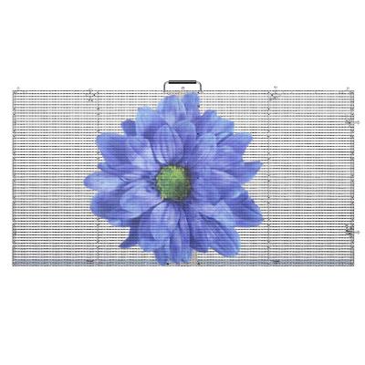 China P3.91-7.82mm Transparent LED Display for Shop Windows - 800cd/sqm Brightness, 32768 Dots/sqm Density for sale