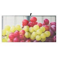 China P3.91-7.82 SMD2121 LED Flexible Transparent Film Screen 500mm×125mm Panel with 5000cd/m² Brightness for sale