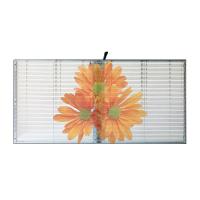 China P3.91-7.82mm Flexible Transparent LED Window Display Screen 32768dots/sqm 5000cd/sqm Brightness for sale