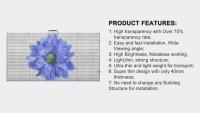 China P3.91-7.82 Full Color 3D Adhesive LED Transparent Film Screen 5000cd Brightness for sale