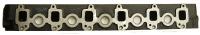 China Iron Casting 1H Cylinder Head for TOYOTA Dyna Coaster Landcruiser 3.6L 12V 11101-47015 for sale