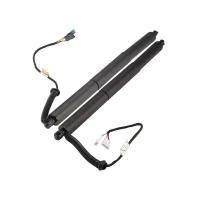 China Electric Tailgate Gas Strut OE 51247434042 for BMW within XINLONG LION Auto Parts for sale