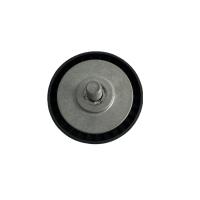 China XINLONG LION Auto Timing Belt Tensioner Assembly OE 11287780124 for BMW 5 Series for sale