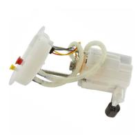 China 535 i Engine Car Fitment Xinlong Lion Electric Fuel Pump Assembly for BMW 16117260642 for sale