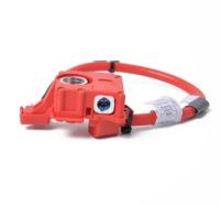 China XINLONG LION Battery Blow Off Cable Lead Wire Plus Pole OEM 61129217031 for Standards for sale