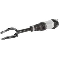 China Auto Suspension Parts XINLONG LION Front Left Shock Absorber Air Suspension Strut OE 1663204966 for sale