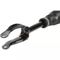China Auto Suspension Parts XINLONG LION Front Left Shock Absorber Air Suspension Strut OE 1663204966 for sale