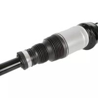 China Auto Suspension Parts XINLONG LION Front Left Shock Absorber Air Suspension Strut OE 1663204966 for sale