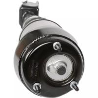 China Auto Suspension Parts XINLONG LION Front Left Shock Absorber Air Suspension Strut OE 1663204966 for sale