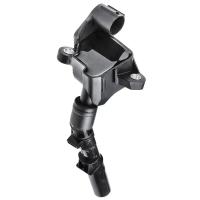 China XINLONG LION Engine Ignition Coil OE 2769067900 for Mercedes-Benz Car Fitment and More for sale