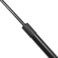 China XINLONG LION Auto Parts Tailgate Lift Support Struts Gas Spring For BMW E87 OE 51247060622 for sale