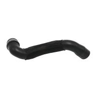 China XINLONG LION Cooling System Coolant Car Radiator Hose For Mercedes-Benz OE 2215018382 for sale