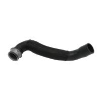 China XINLONG LION Cooling System Coolant Car Radiator Hose For Mercedes-Benz OE 2215018382 for sale
