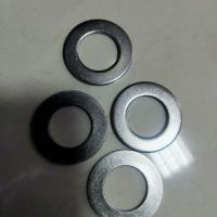 China Galvanized Carbon Steel ASME B18.22.11 Flat Washer M36 - DIN 125 A Standard, Size Range M1.6-M52, 1000 Tons/Month Capacity for sale