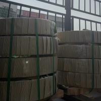 China UNS N10665 / W.Nr. 2.4617 Alloy B2 Strip Coil Thickness 0.1 - 3.0mm Nickel Alloy Strips for sale