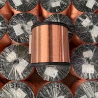 China Wire Bare Copper 16 Gauge Copper Wire Uncoated Bare Wire Solid Pure T2 Red Copper for sale