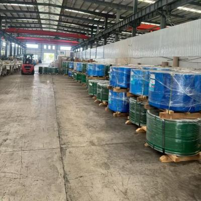 China High Precision 316L / 1.4404 / SUS316L Stainless Steel Strips 0.1mm - 3.0mm for Food and Medical Area for sale