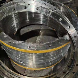 China DN40 Heat Treatment Duplex Stainless Steel Plate Flange for High-Temperature and Corrosion Resistant Applications for sale