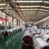 China DX51D Z40-Z275 Zinc Coated Galvanized Steel Coil for Container Plate Applications for sale