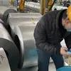 China JIS G3312 DX51D AZ PPGL Prepainted Color Steel for Buildings and Vehicles for sale