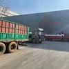 China ASTM A653 SGHC Grade Galvanized Steel Sheet and Coil with 600mm - 1250mm Width for sale
