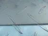 China ASTM A36 Hot Rolled Checkered Plate with 2.0mm-12mm Thickness for Construction and Industrial Use for sale