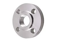 China Precision Machined Stainless Steel 316 150LB Thread Flanges CNC Machined Parts for sale