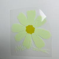 China Heat Transfer Glowing Logo At Night For Clothing Customized for sale