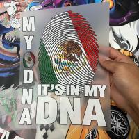 China It's in My DNA Mexico Flag Fingerprint Custom DTF Transfers – Ready to Press Iron on Heat Press Sticker, High Quality Digital Printing Label for Apparel for sale