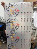 China Real Production DTF In Factory for sale
