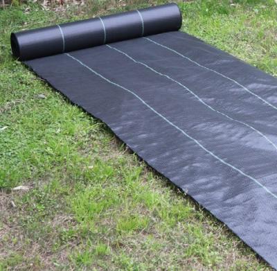 China Black Color Polypropylene Woven Geotextile 500Gram For Road Reinforcement for sale